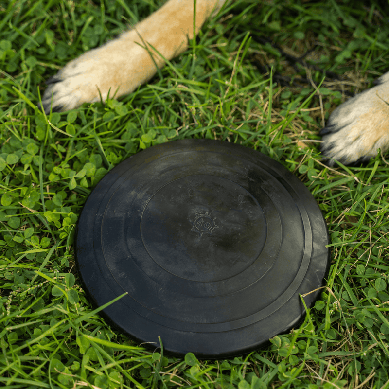 Ultra Durable Dog Disc - Lifetime Replacement Guarantee