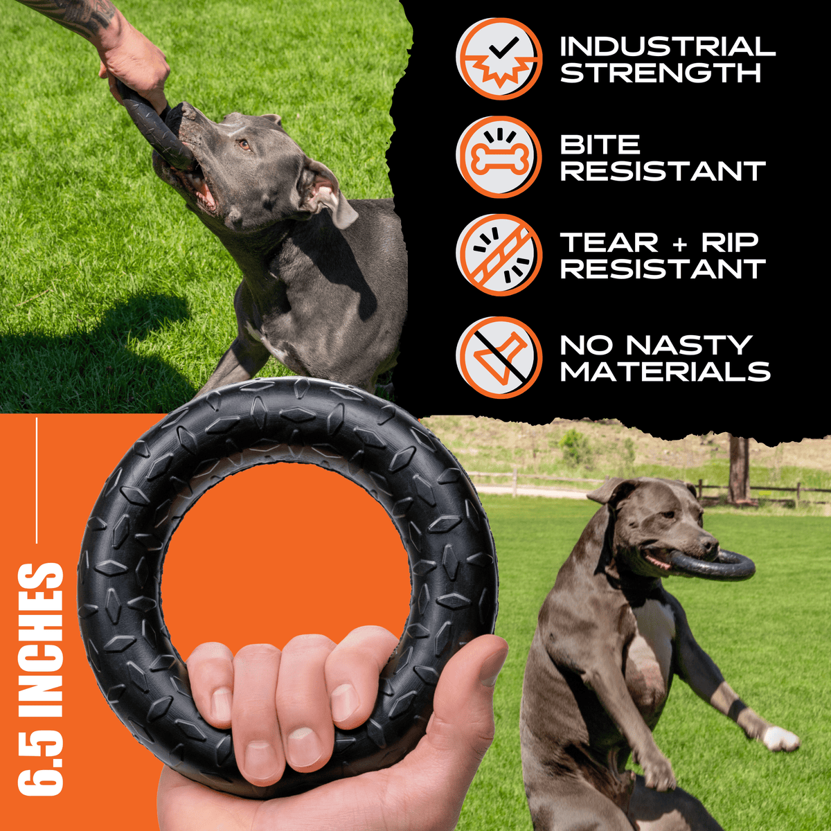 Ultra-Durable Chew Ring Toy - Lifetime Replacement Guarantee
