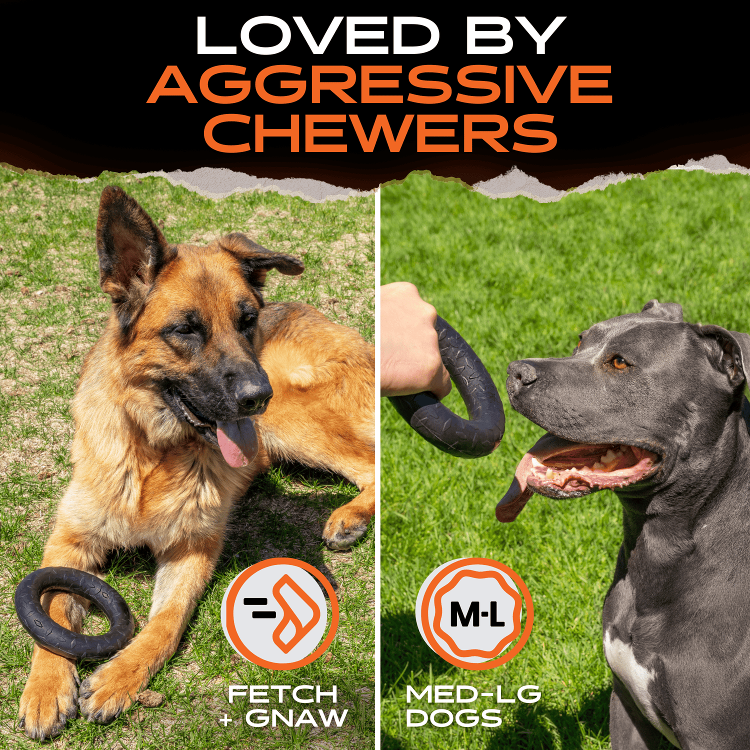 Ultra-Durable Chew Ring Toy - Lifetime Replacement Guarantee