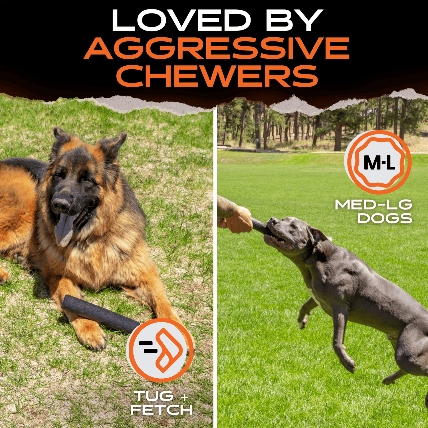 Virtually Indestructible Chew Stick - Lifetime Guarantee