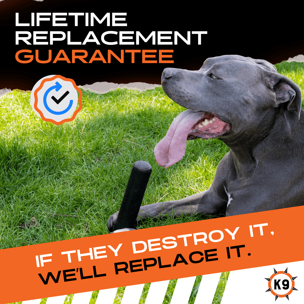 Virtually Indestructible Chew Stick - Lifetime Guarantee