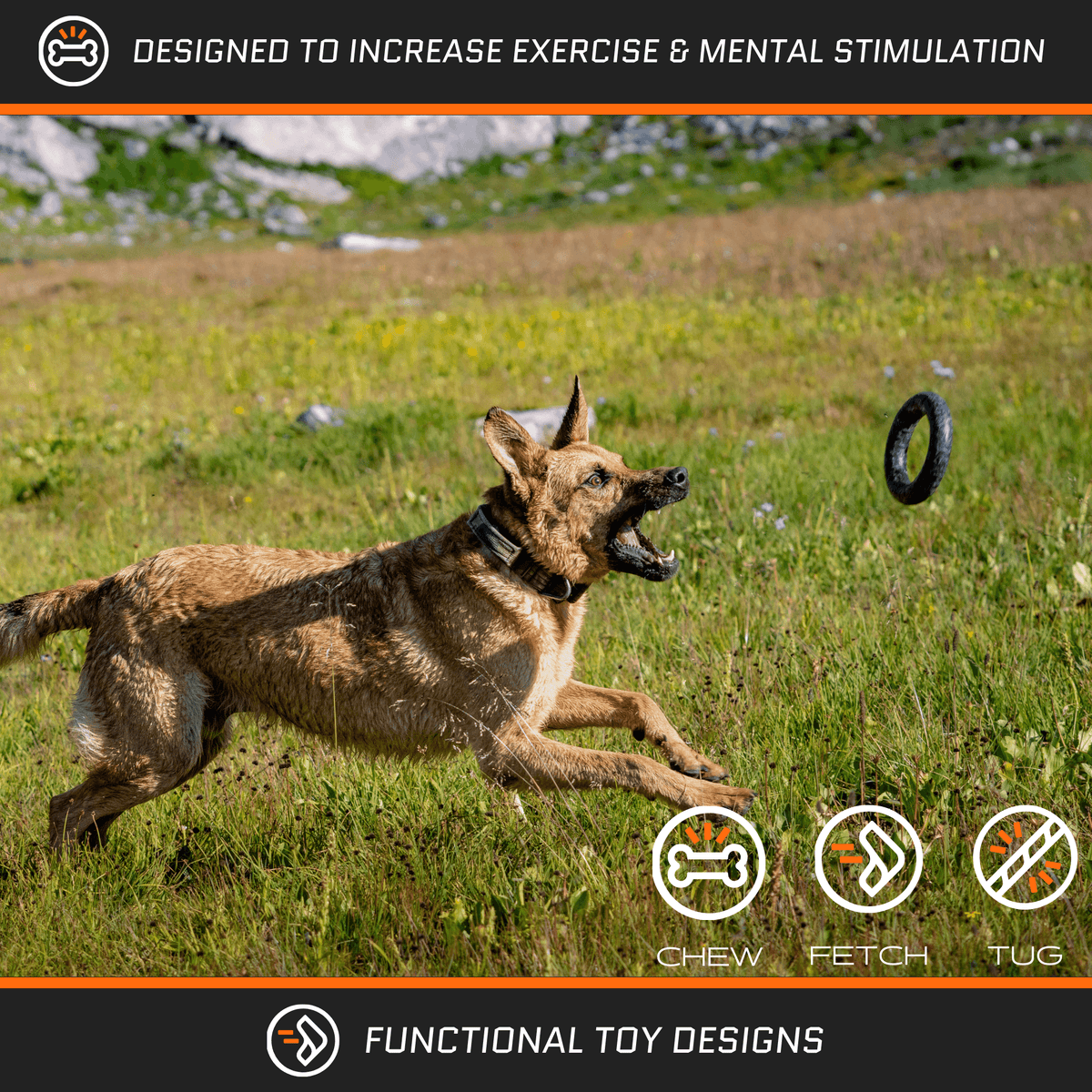 Ultra-Durable Chew Ring Toy - Lifetime Replacement Guarantee